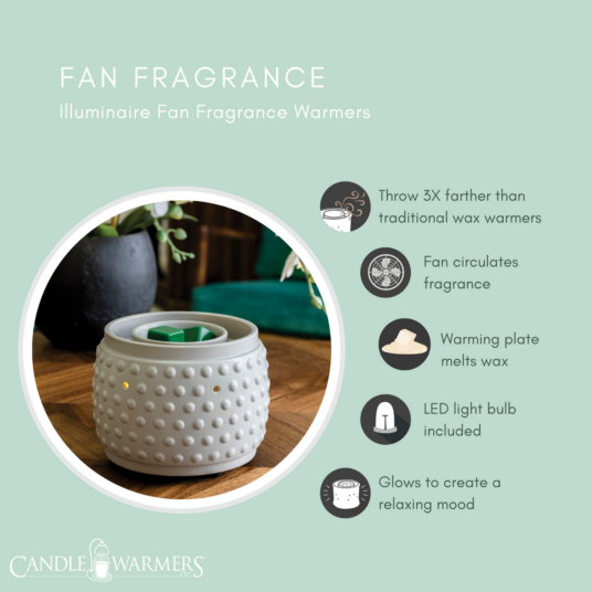 Wax Warmer-Beaded Slate Illuminaire Fan. 1803 Candles - Best Scented ...